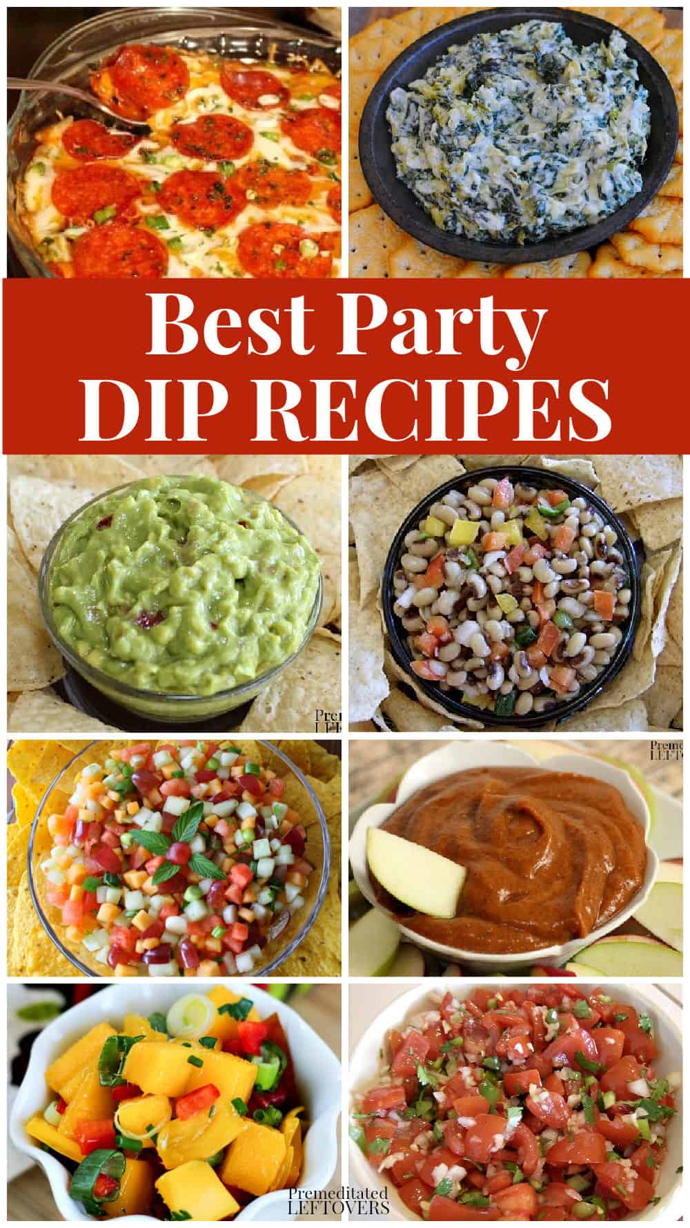 The Best Party Dip Recipes