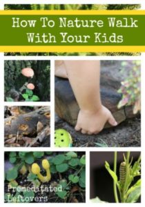 Tips for Going on a Nature Walk With Kids: What to Bring and What to ...