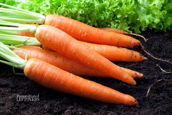 Tips for Growing Carrots in the Garden