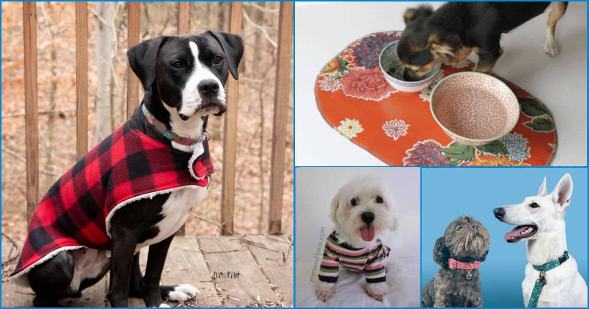 10 Free Sewing Patterns for Pets