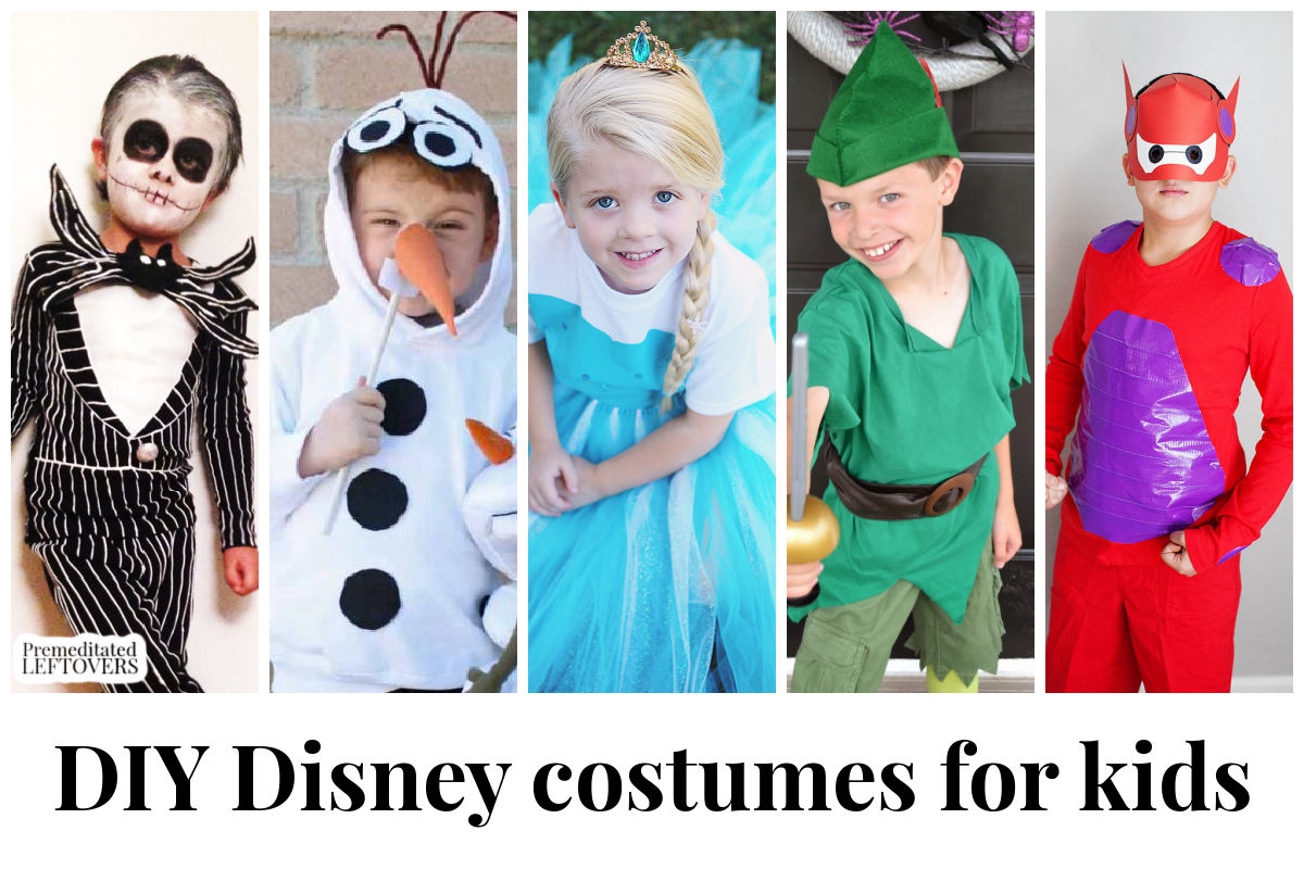 20 DIY Disney Costumes for Kids and Adults