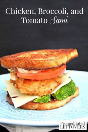 Chicken, Broccoli, and Tomato Sami