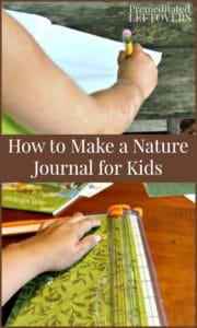 How to Make a Nature Journal for Kids