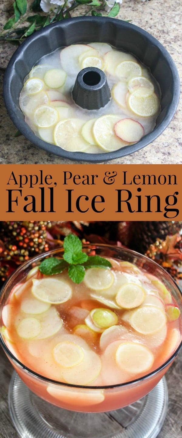 Apple, Pear, and Lemon Ice Ring Recipe