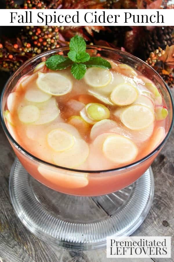 Fall Spiced Cider Punch Recipe