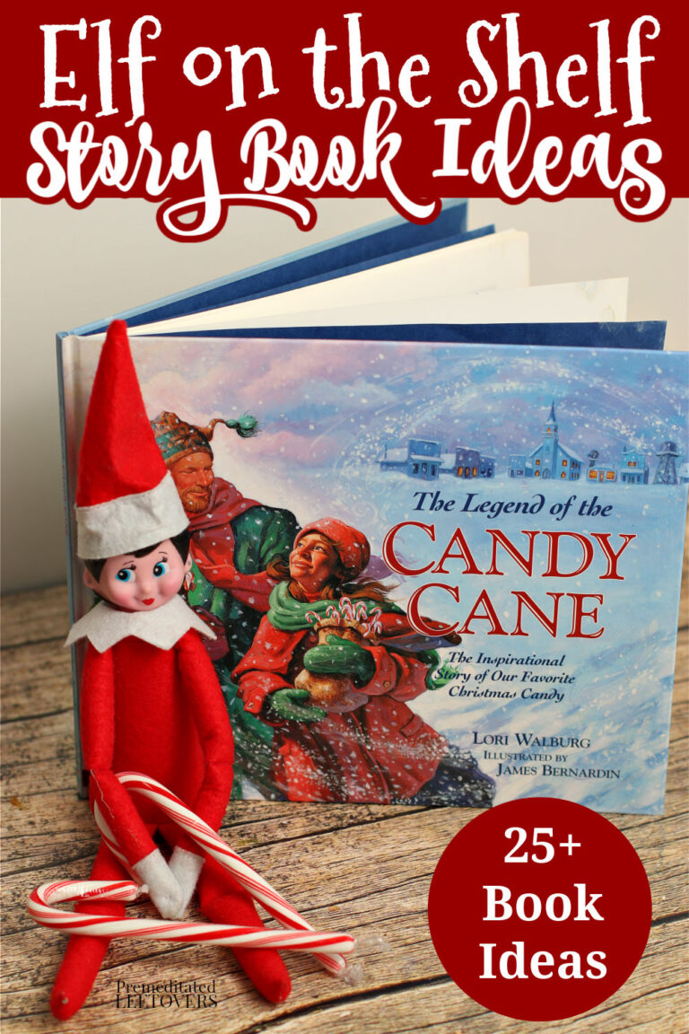 25+ Book Themed Elf on the Shelf Ideas Using Story Books