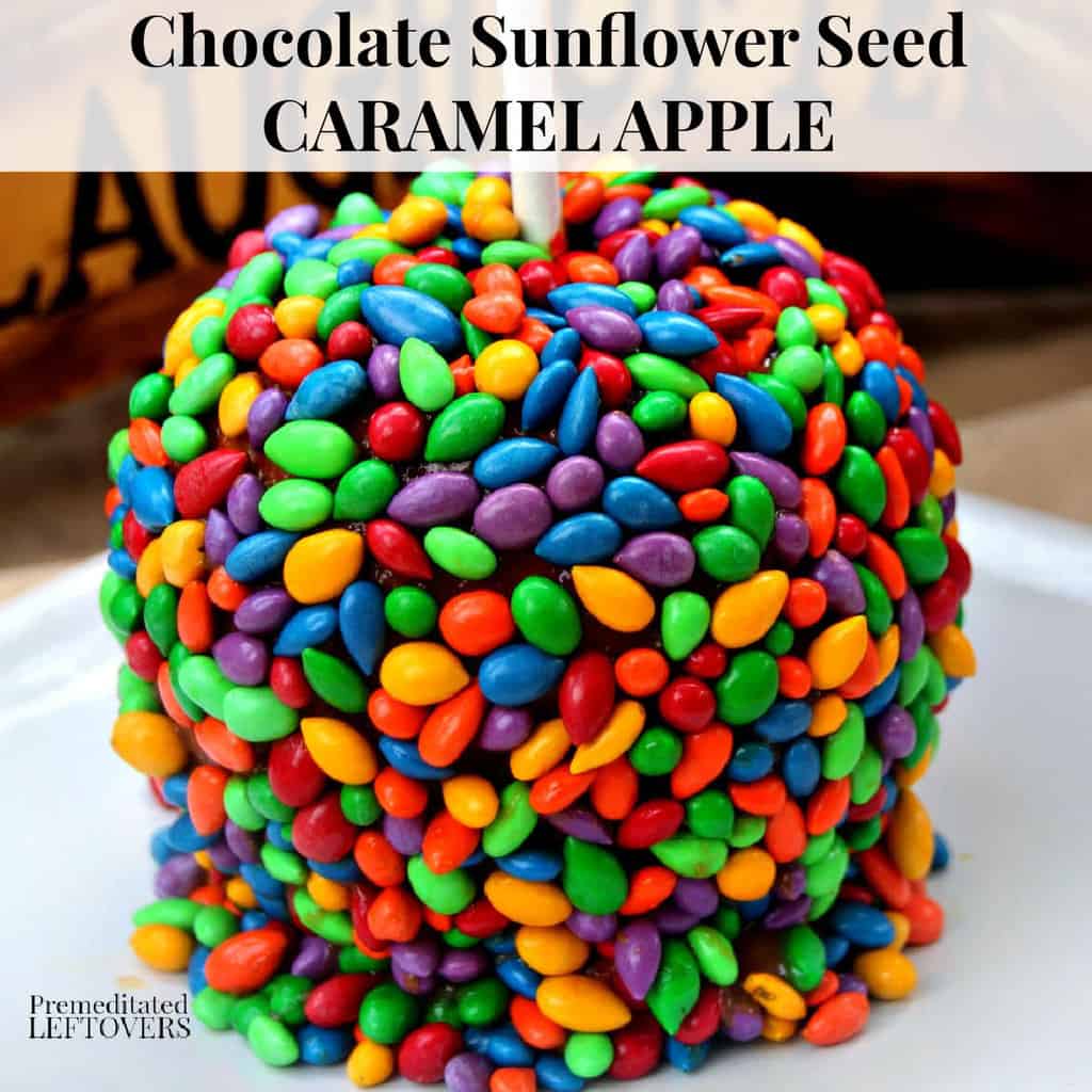 Chocolate Sunflower Seed Caramel Apples Recipe