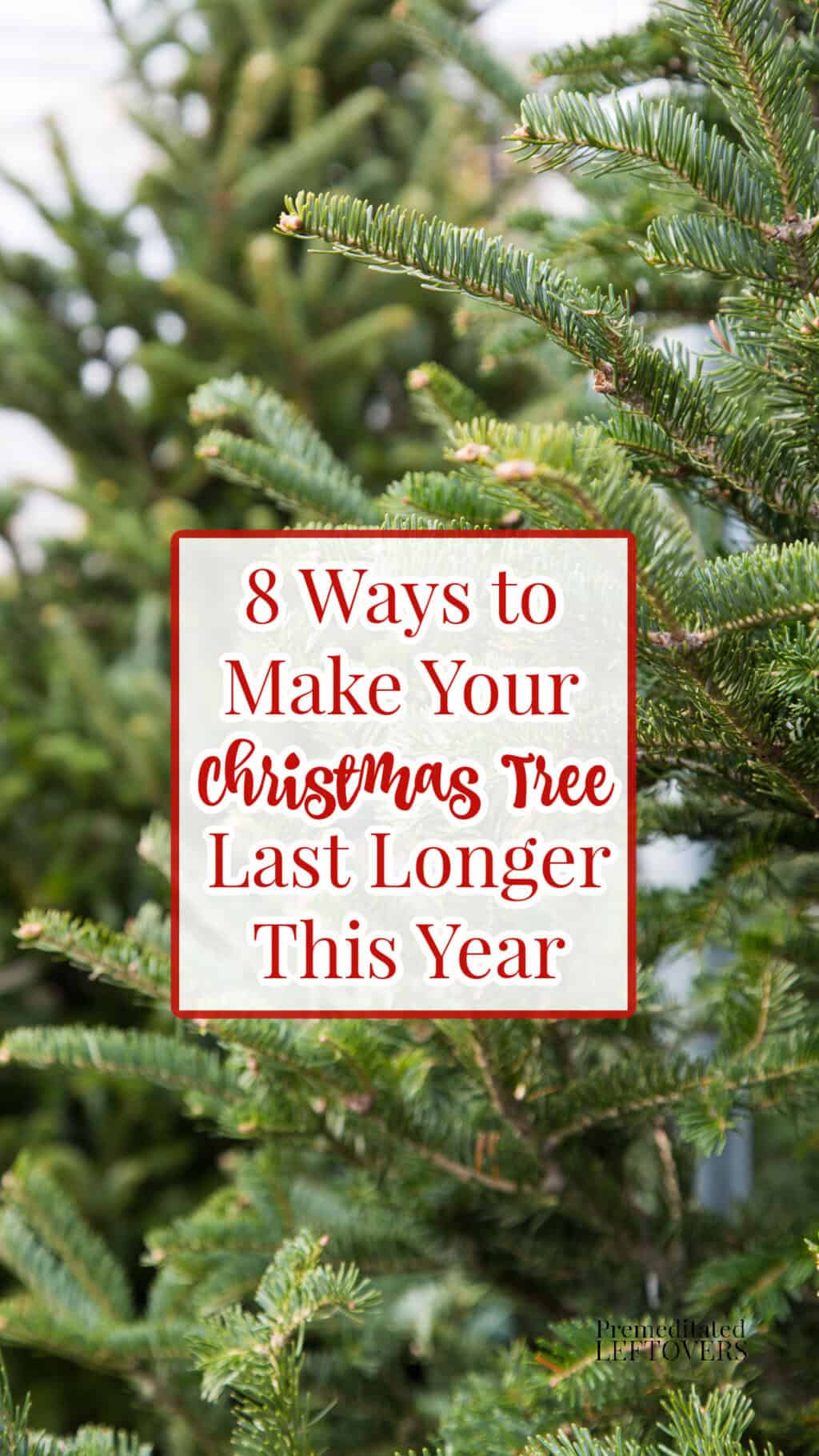 8 Ways to Make Your Christmas Tree Last Longer
